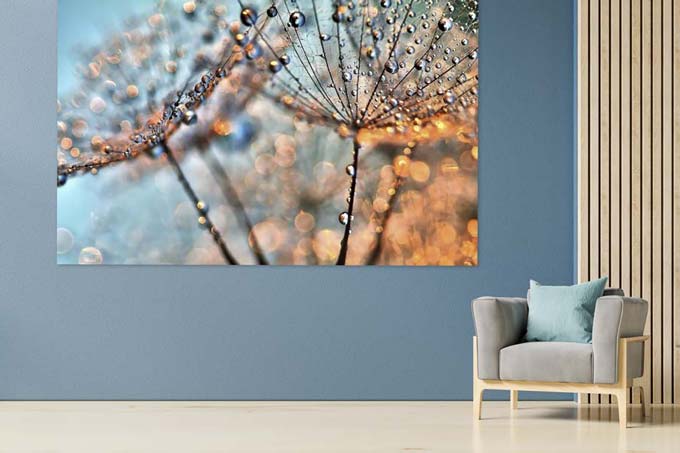 Iets leuks voor aan de muur | Wallstars wanddecoratie Iets leuks voor aan de muur | Wallstars wanddecoratie